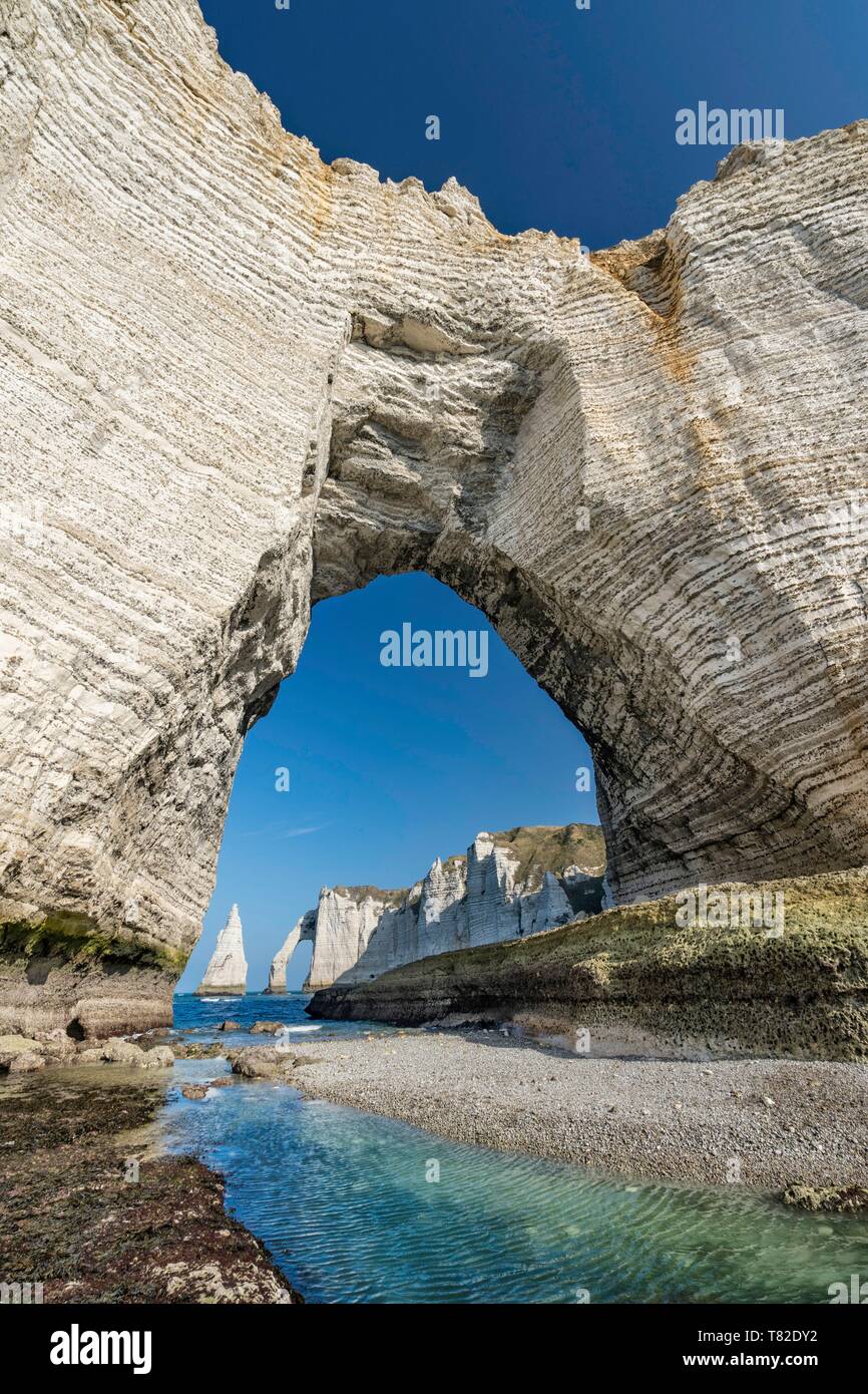 France, Seine Maritime, Cote d'albatre, Etretat, the cliff, arch and ...