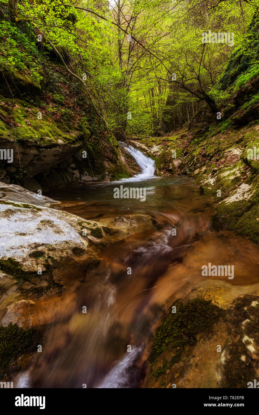 Spring mountain river with small waterfall Stock Photo - Alamy