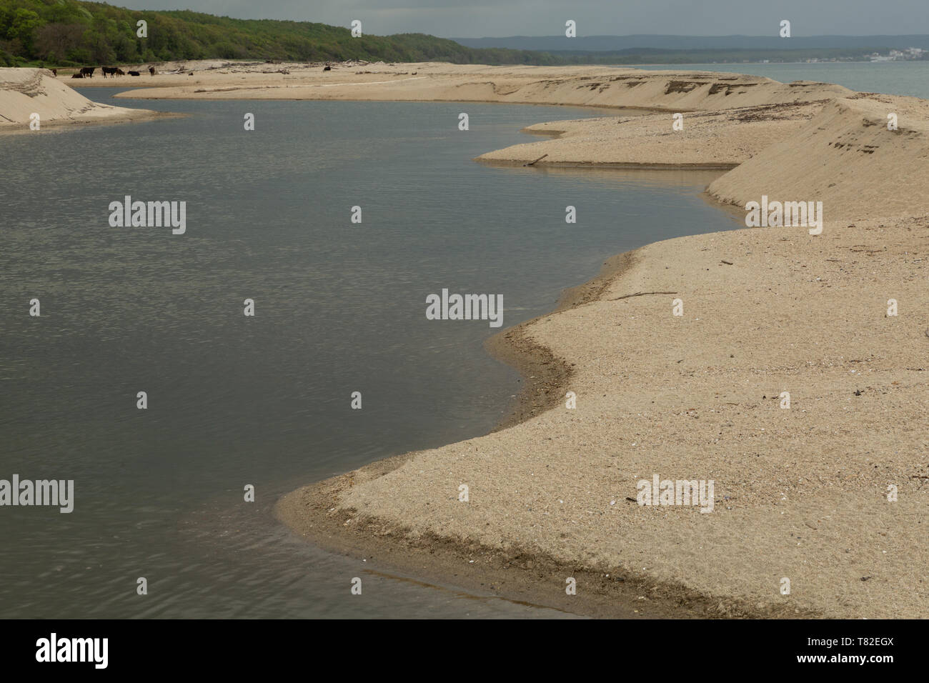 sandy coastline of Turkey's Black Sea Coast Stock Photo - Alamy