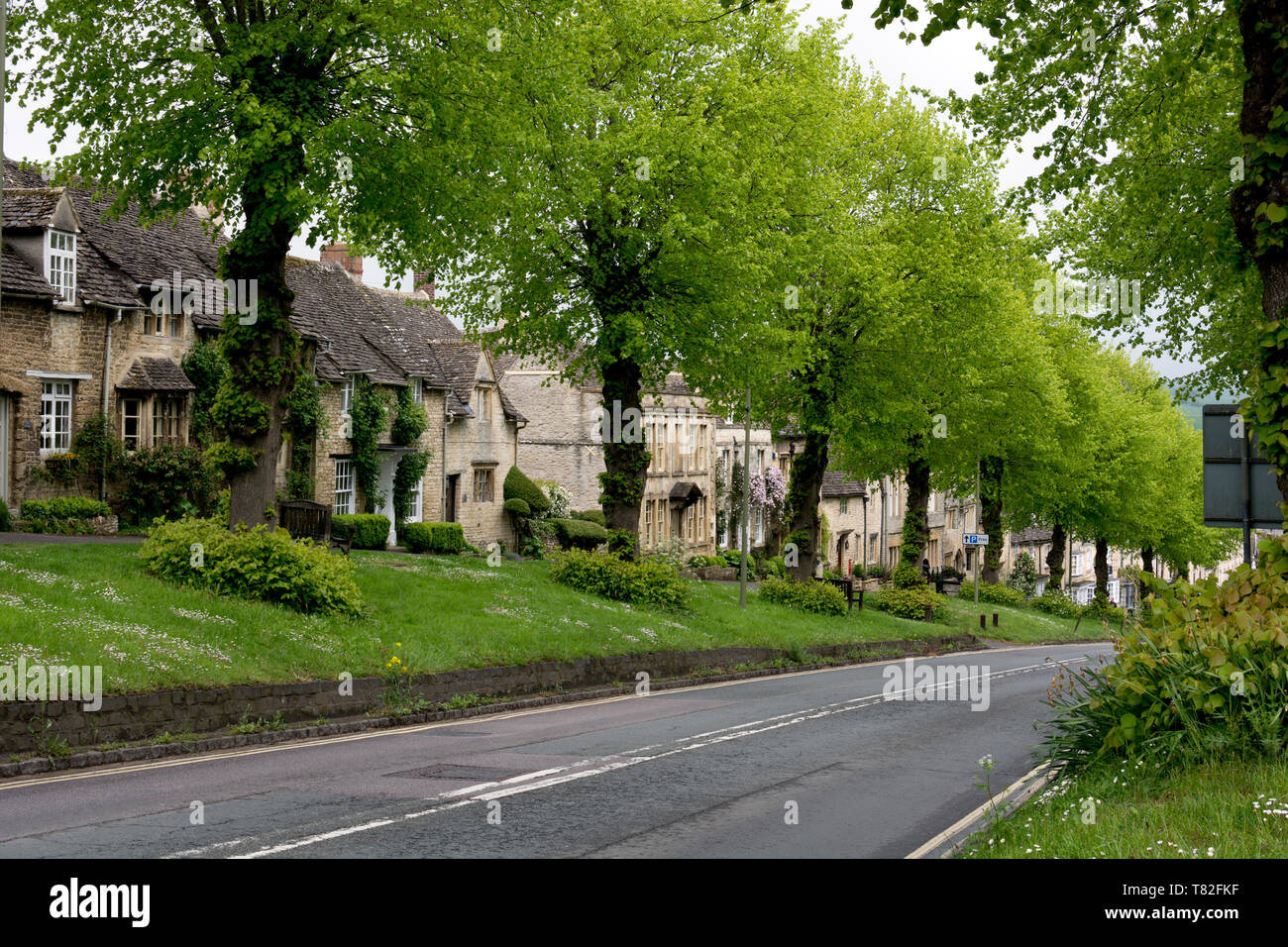 Lime trees in spring, High Street, Burford, Oxfordshire, England, UK ...