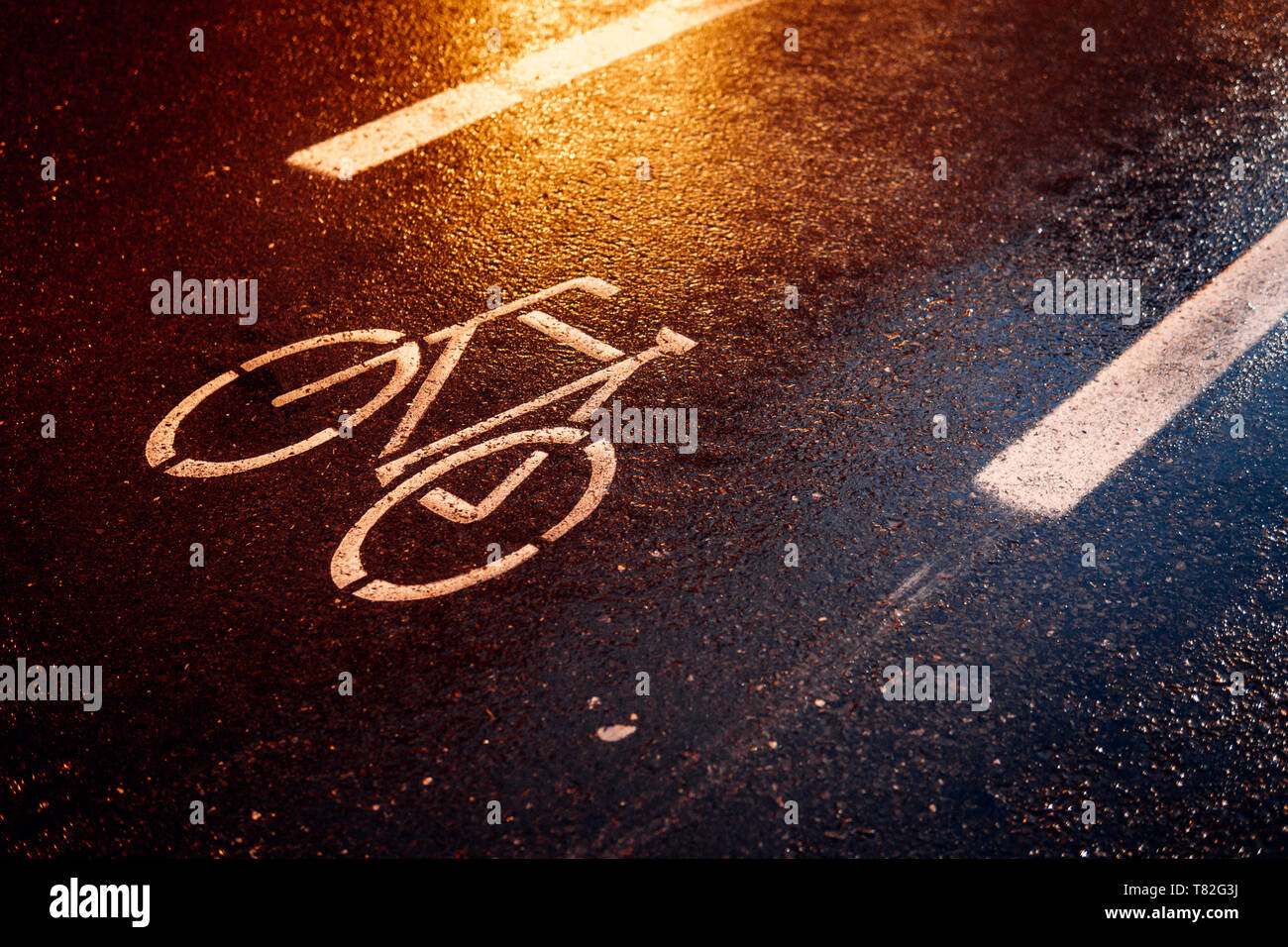 Bike path on a wet road at night Stock Photo - Alamy