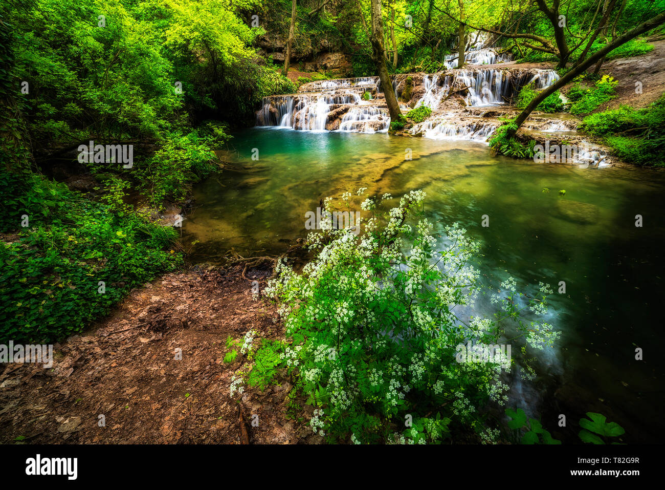 Krushuna waterfalls are a series of waterfalls in northern Bulgaria ...