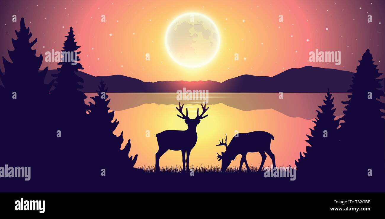 Starry Night With Two Moons