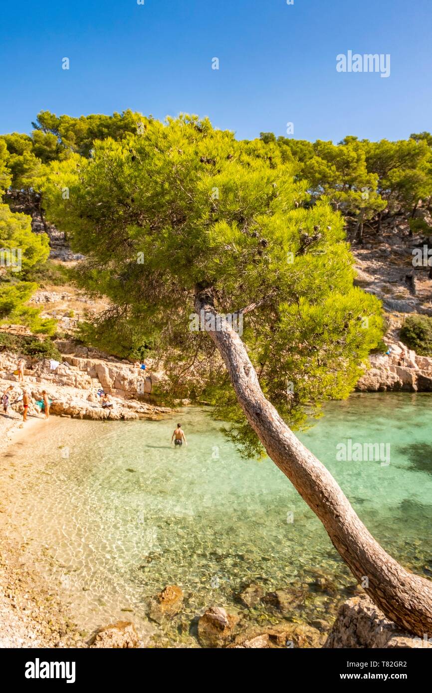 Calanque de port pin beach france hi-res stock photography and images ...