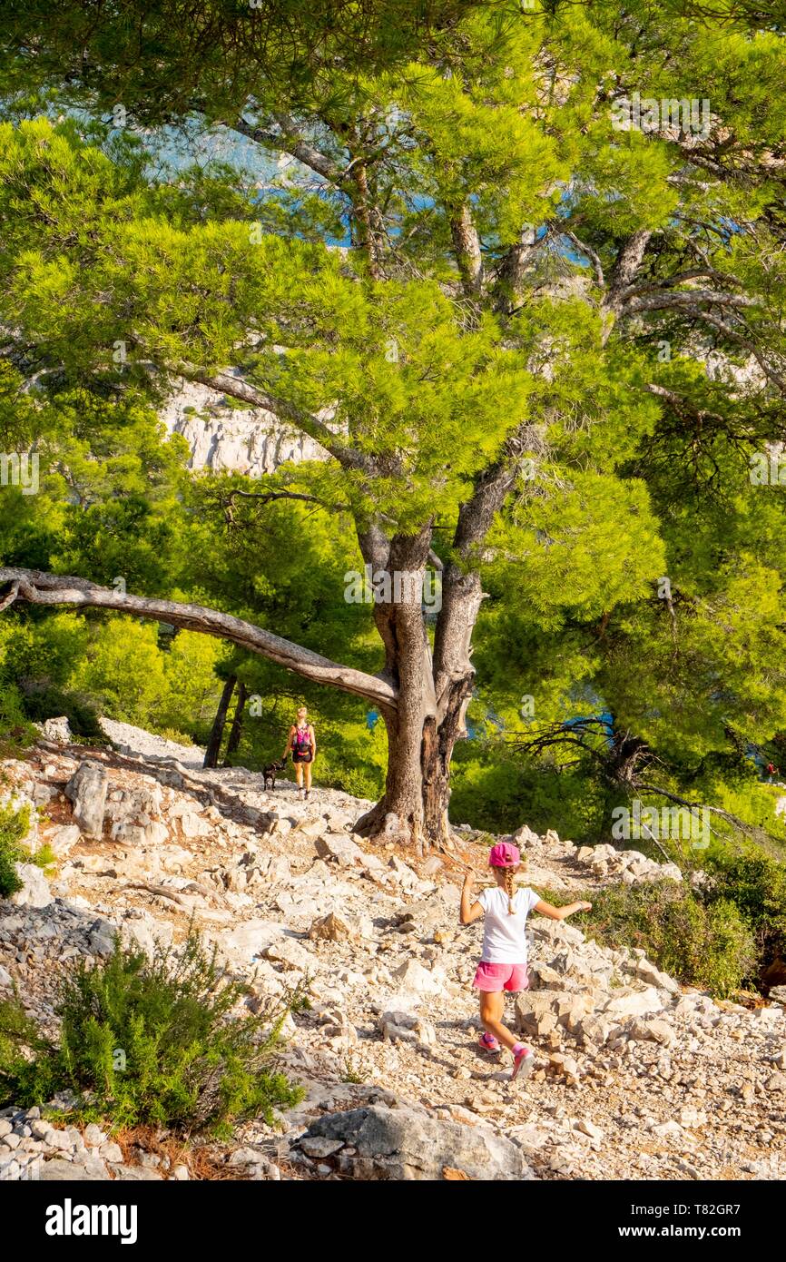 France, Bouches du Rhone, Cassis, Calanques National Park, hiking on ...