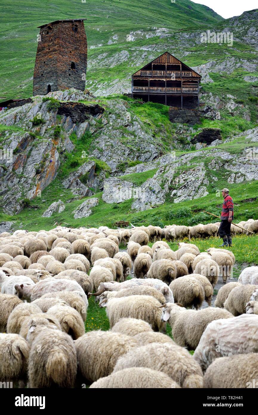 Georgia, Kakheti, Tusheti National Park, Alazani River Valley in the ...