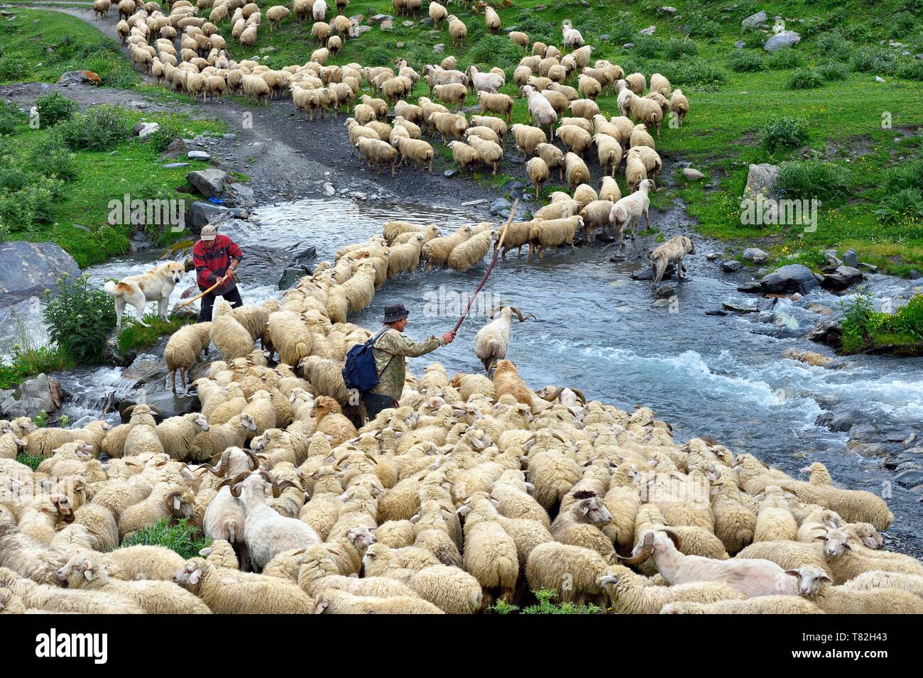 Georgia, Kakheti, Tusheti National Park, Alazani River Valley in the mountains of Pirikiti ...