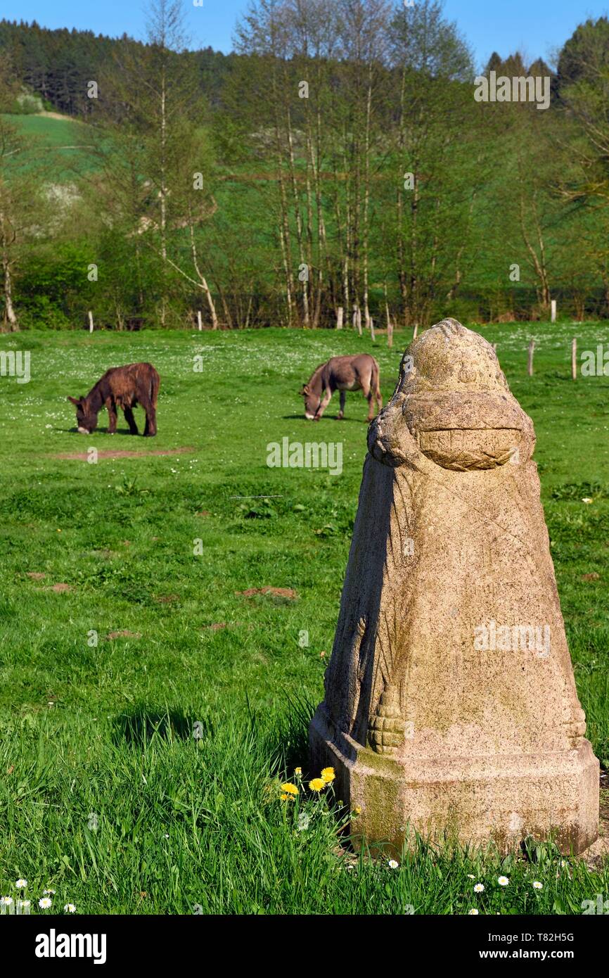 France, Meuse, Lorraine Regional Park, Cotes de Meuse, Les Eparges ...