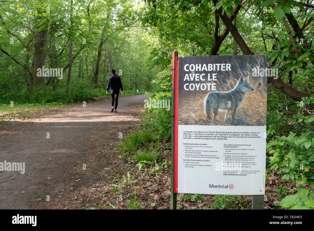 Coyote warning sign hi-res stock photography and images - Alamy