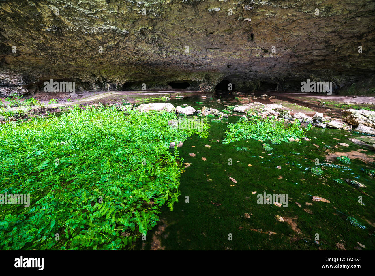 River flow from underwater cave Stock Photo - Alamy