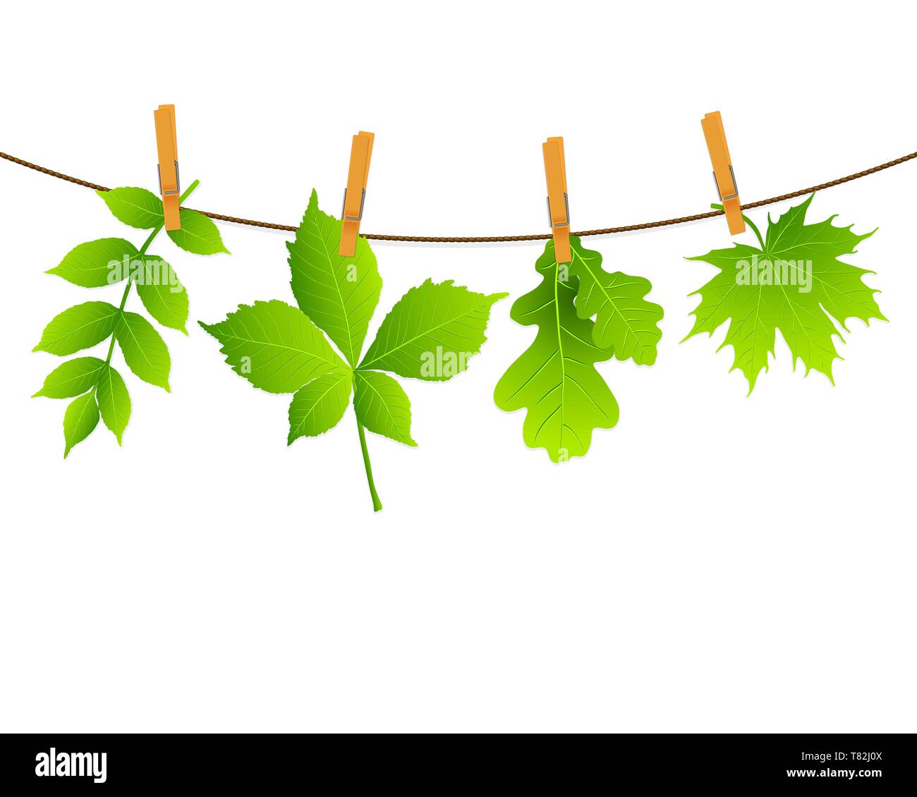 Green leaves vector Stock Vector Image & Art - Alamy