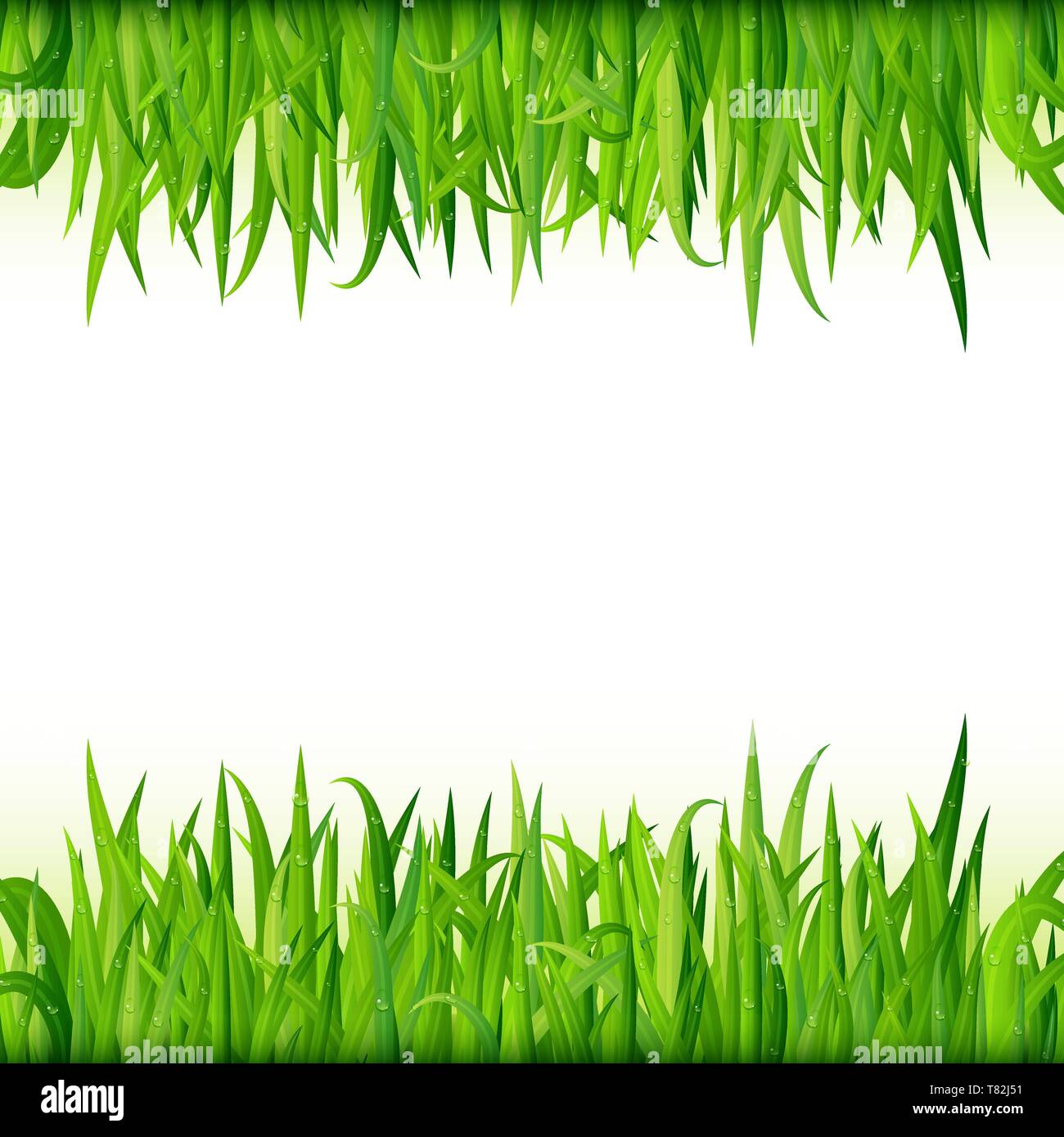Green grass banner. Vector background Stock Vector Image & Art - Alamy