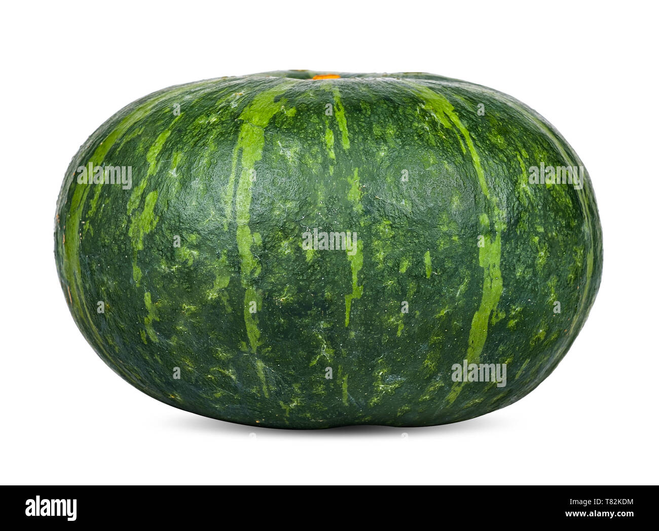 Green pumpkin isolated on white with clipping path Stock Photo - Alamy