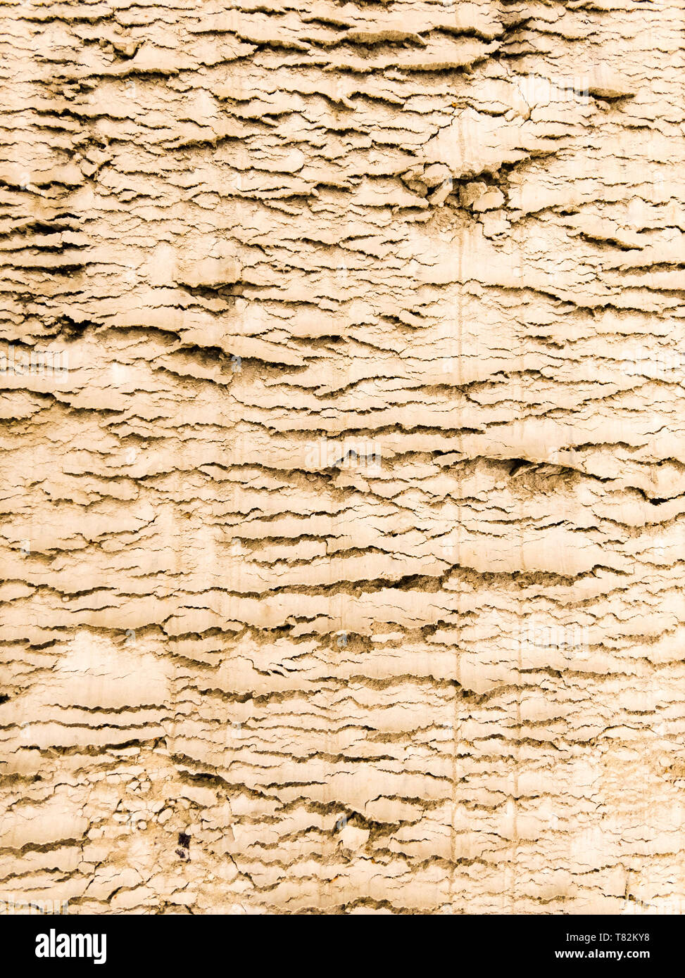 Compressed sand texture on a construction site. Useful as background of ...