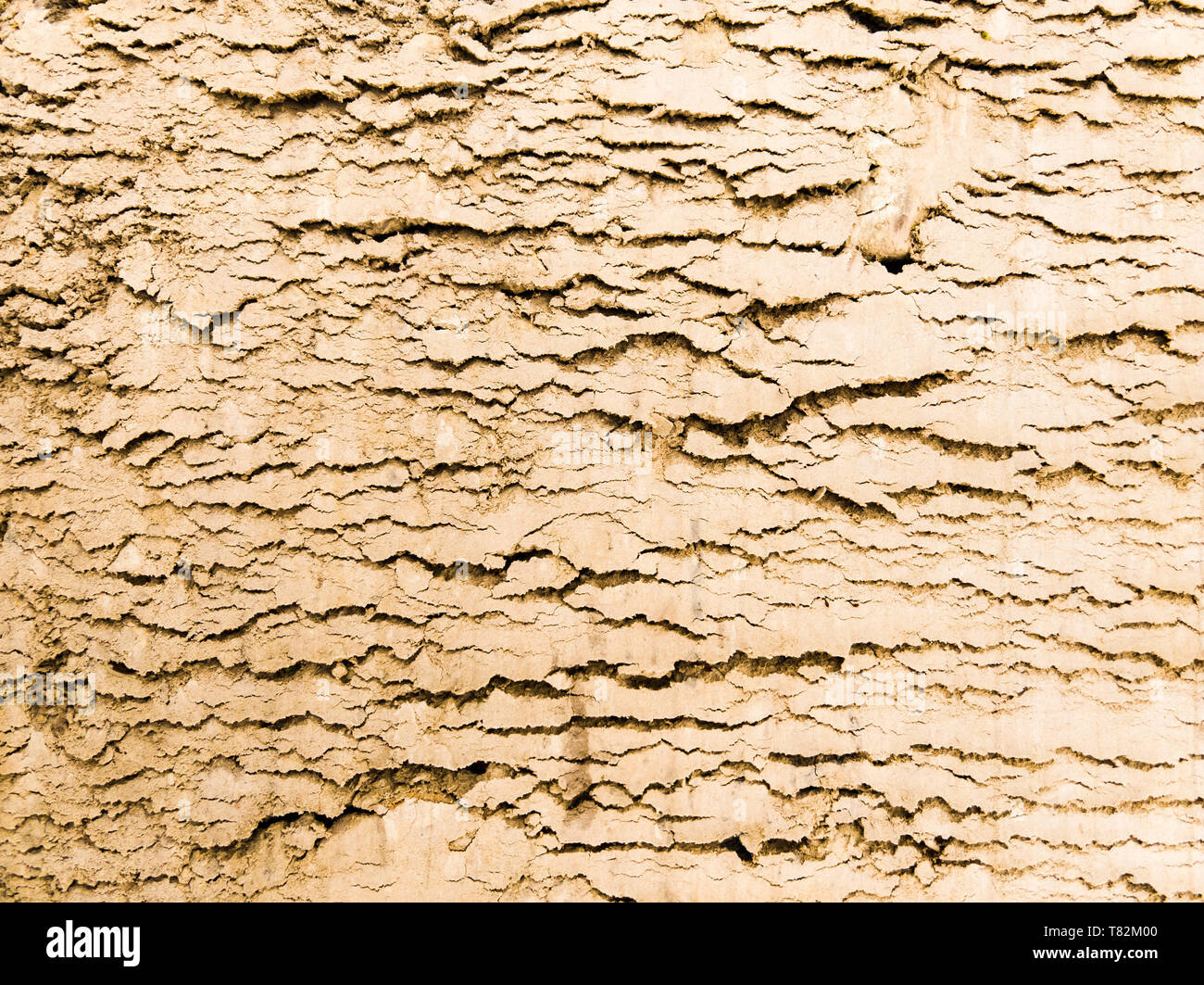 Compressed sand texture on a construction site. Useful as background of ...