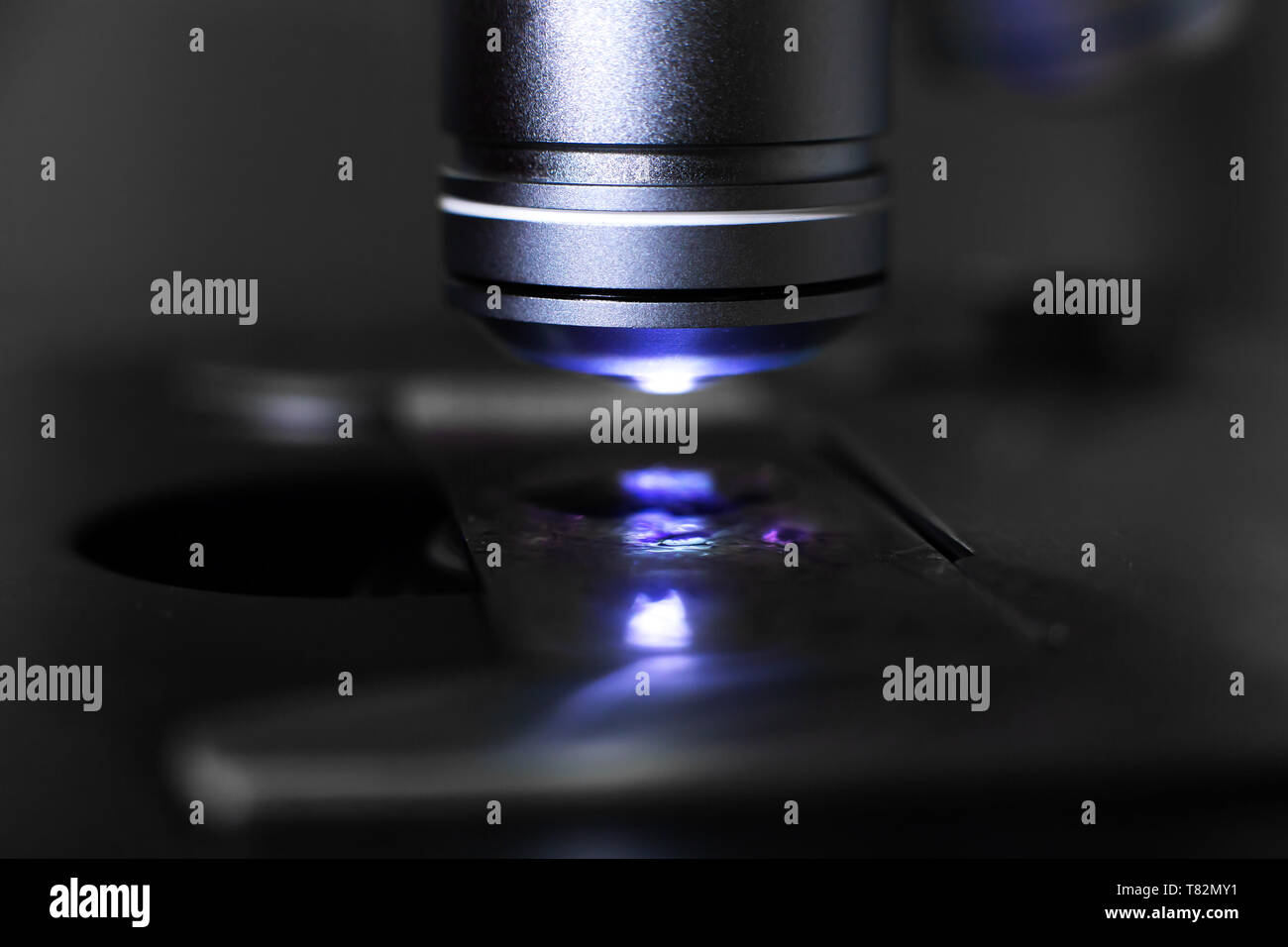 Close up microscope lens on gray background Stock Photo - Alamy