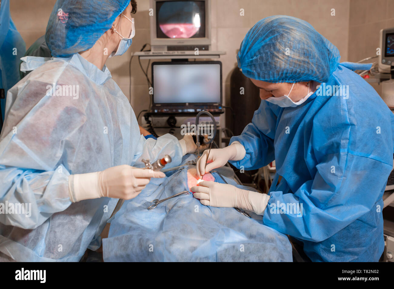 veterinarian or doctors doing surgery in the clinic. medicine, pet ...