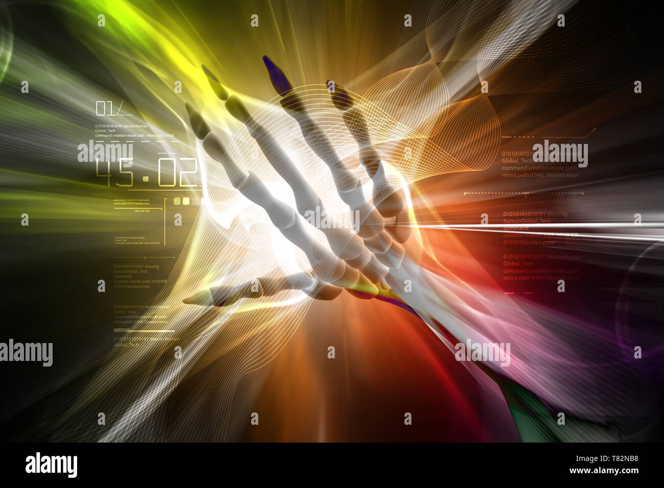 Human skeletal hips hi-res stock photography and images - Alamy