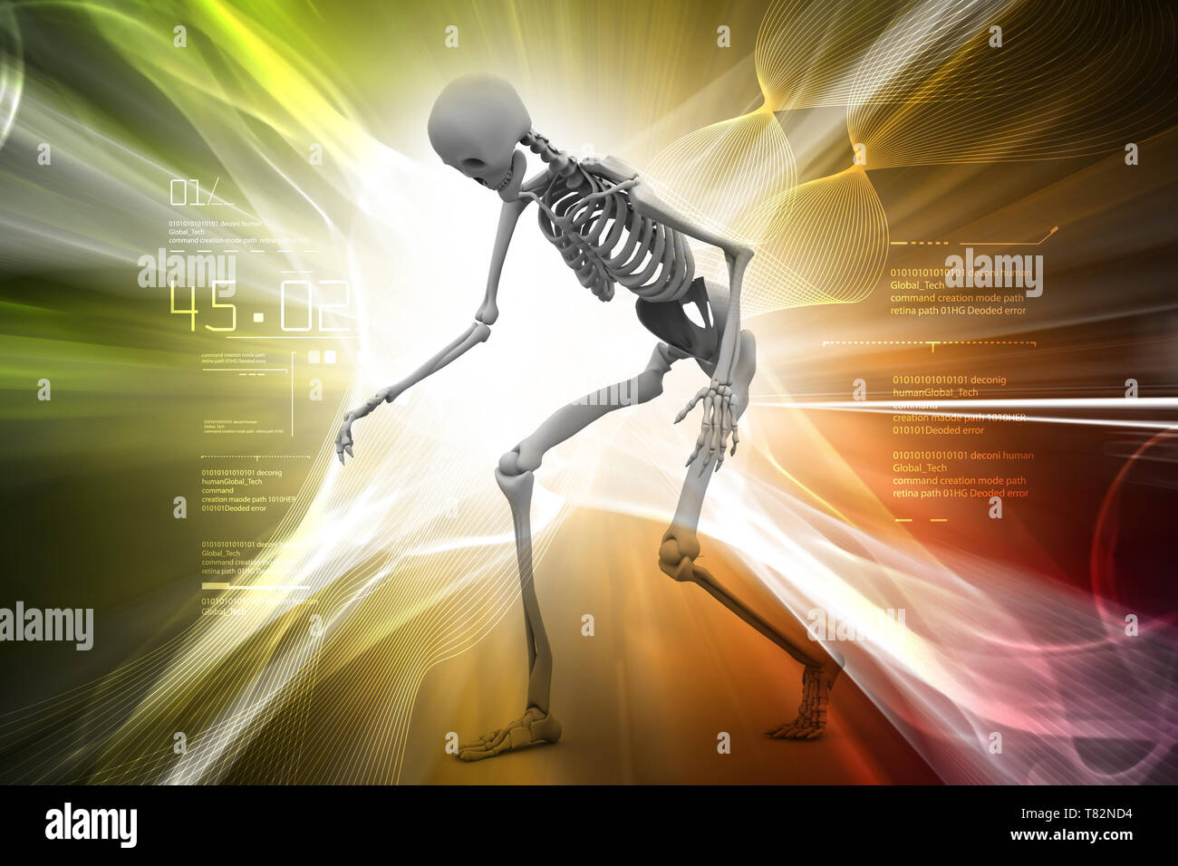 Scanning human anatomy medic science hi-res stock photography and ...