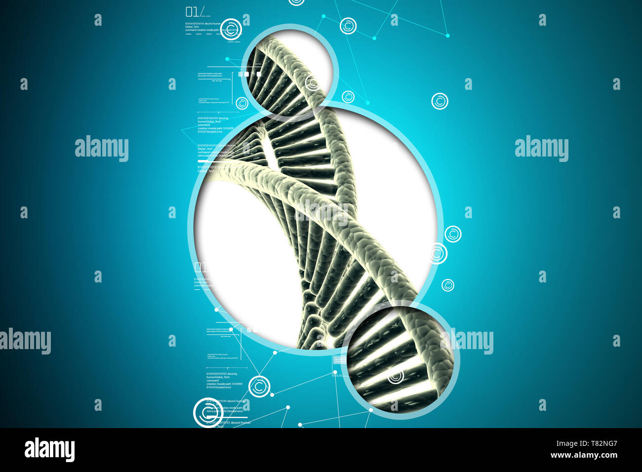 human DNA strand Stock Photo - Alamy