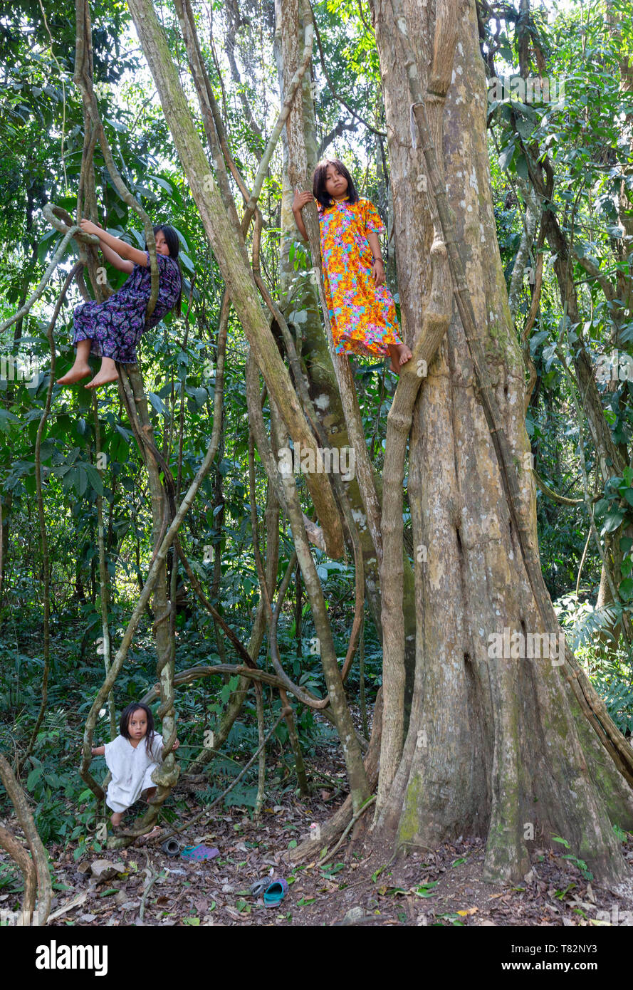Indigenous People Mexico High Resolution Stock Photography and Images ...