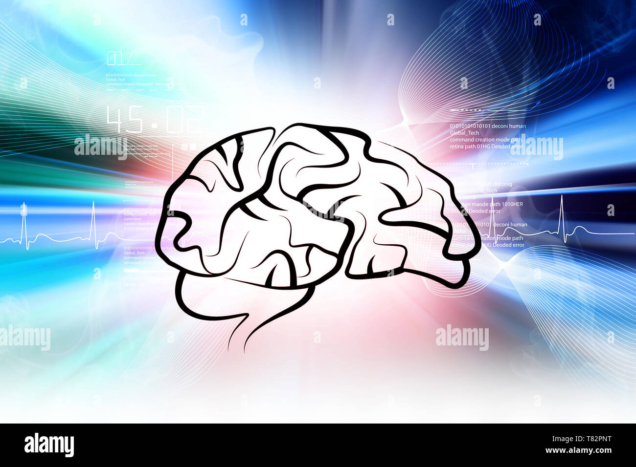 Human brain structure Stock Photo - Alamy