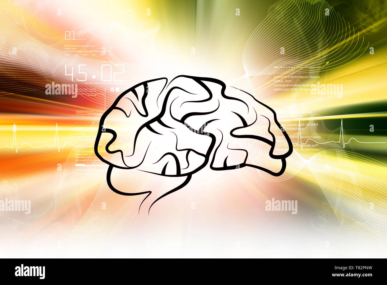 Human brain structure Stock Photo - Alamy