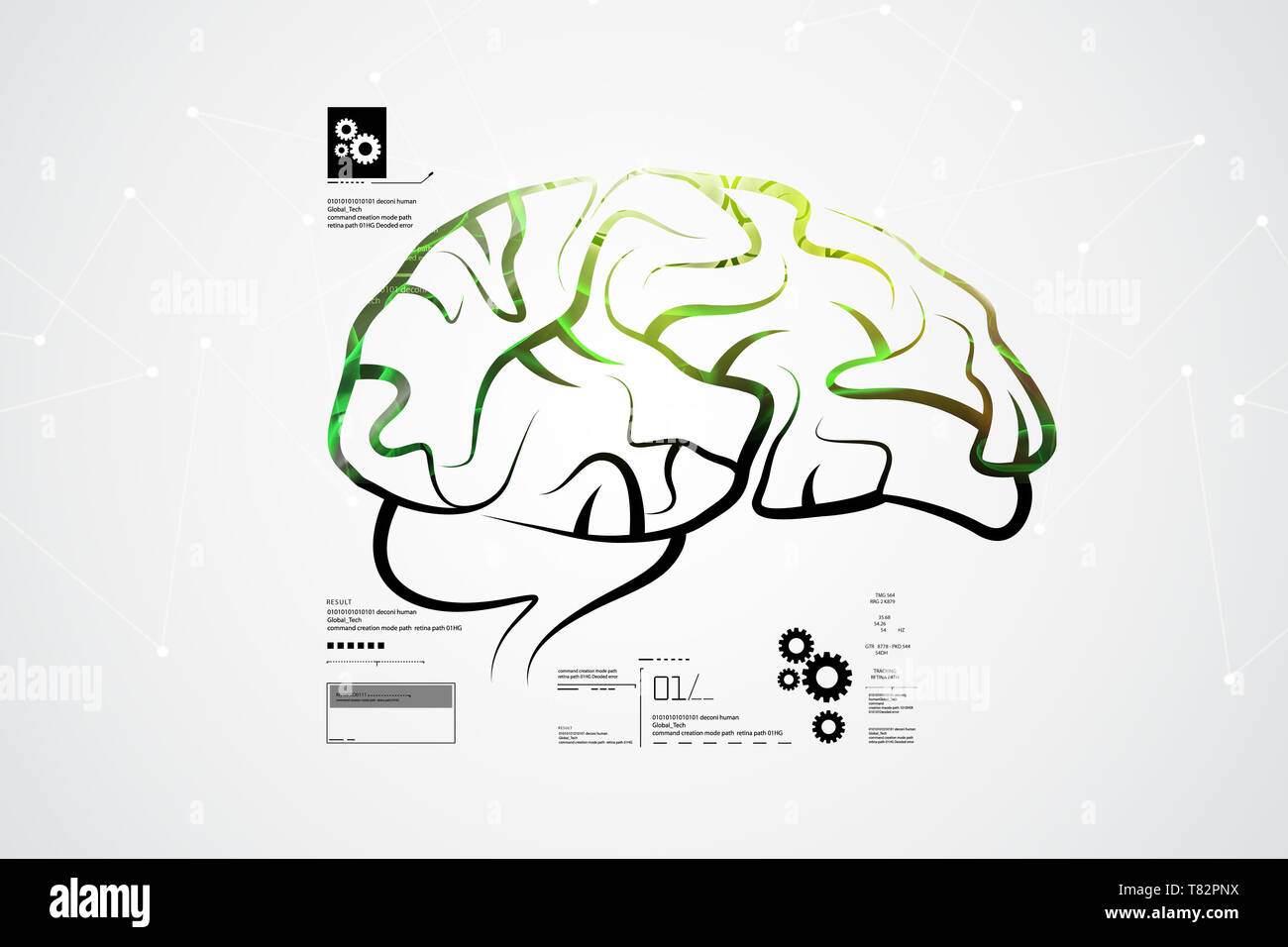 Human brain structure Stock Photo - Alamy