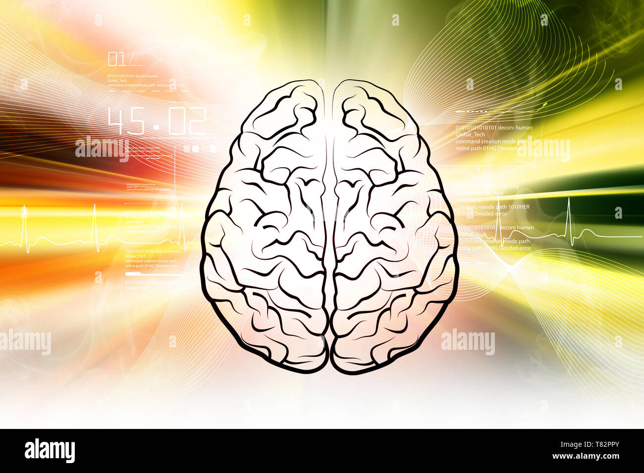 Human brain structure Stock Photo - Alamy