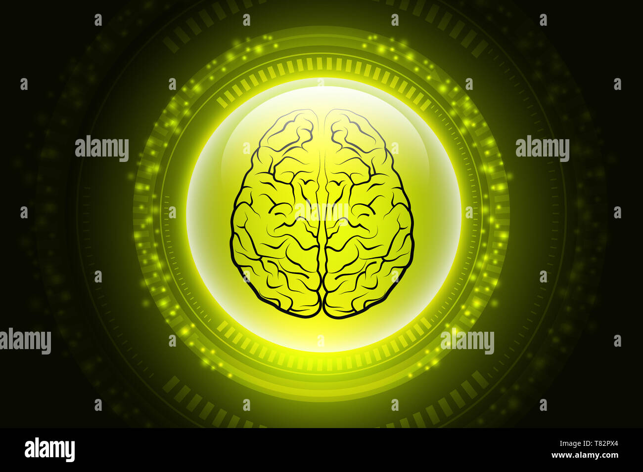 Human brain structure Stock Photo - Alamy