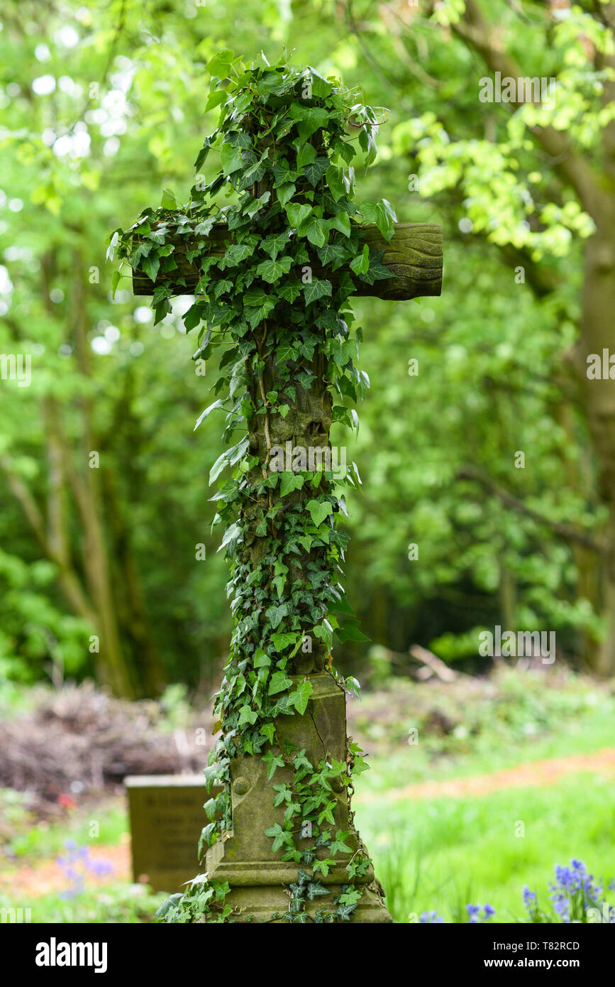 Vertical cross leaf hi-res stock photography and images - Alamy