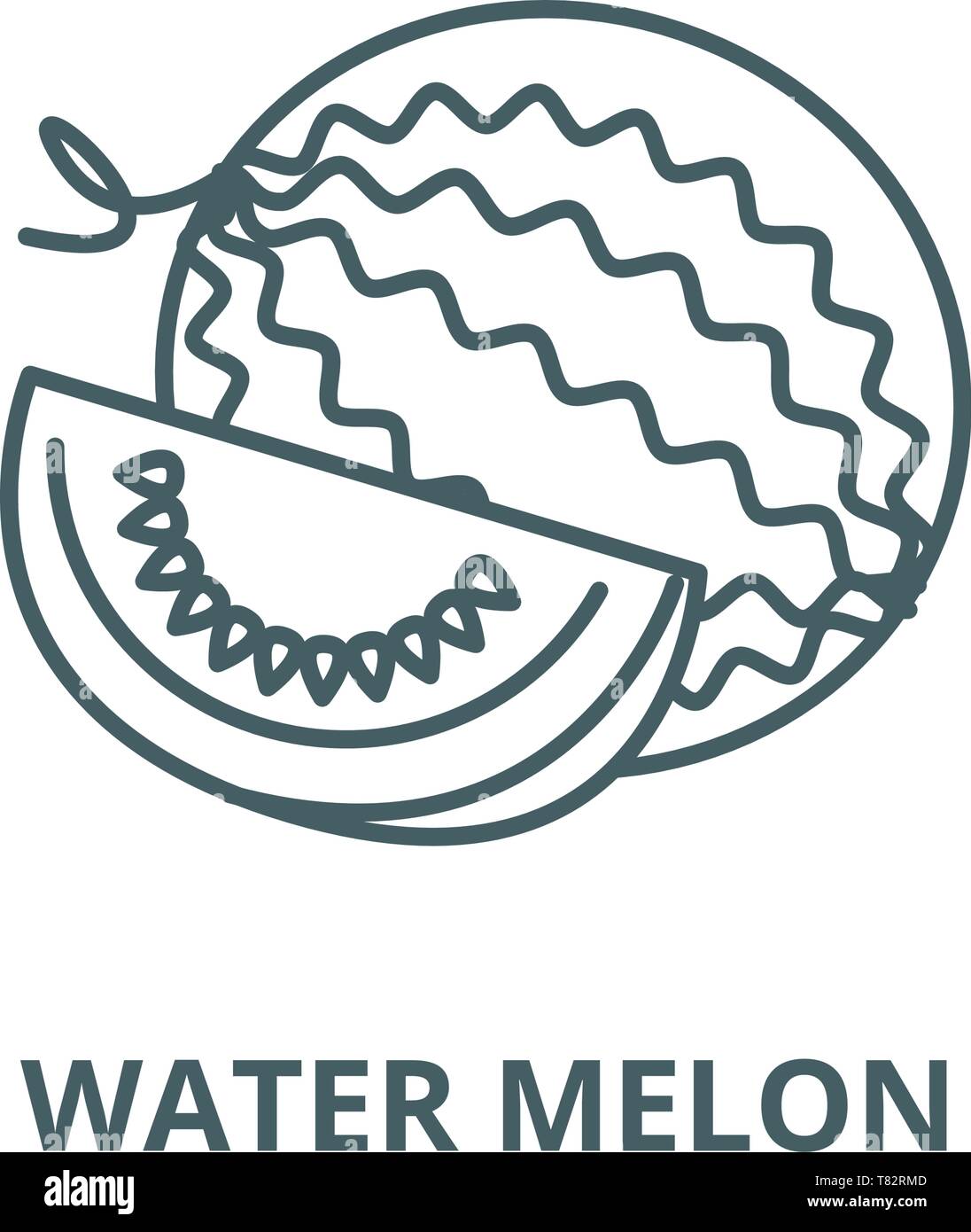 Water melon vector line icon, linear concept, outline sign, symbol ...