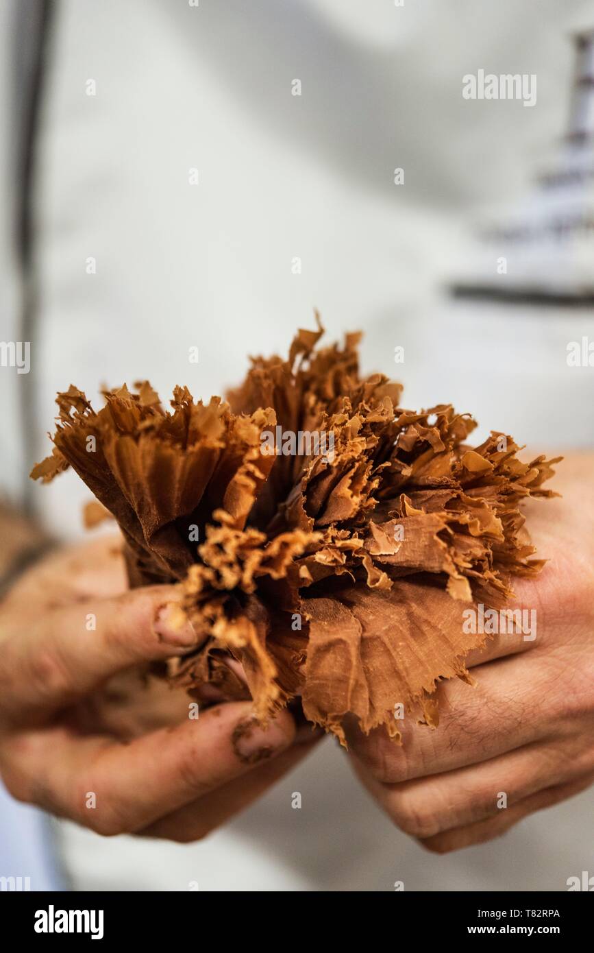 Bernachon lyon hi-res stock photography and images - Alamy