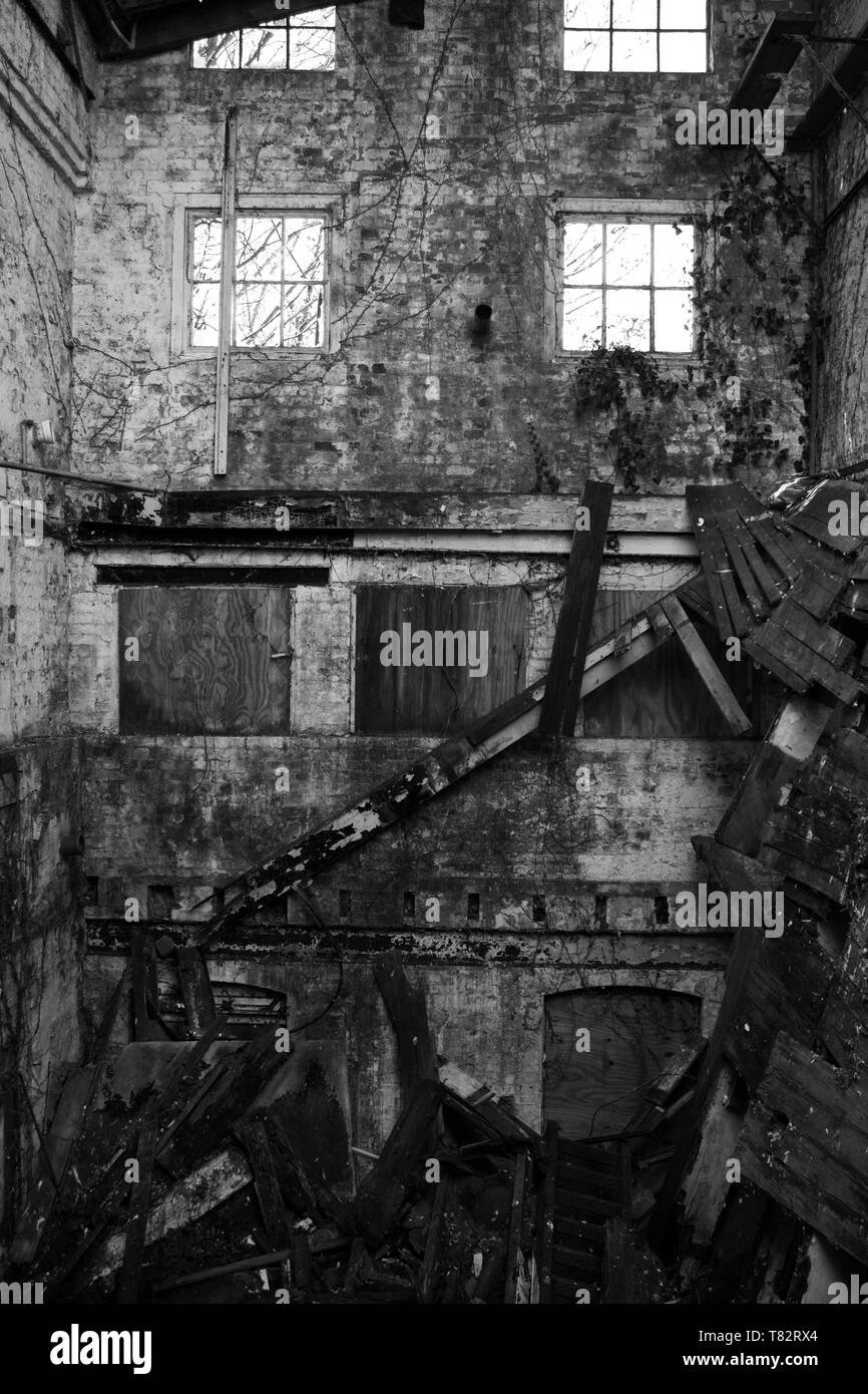 Overgrown plants building Black and White Stock Photos & Images - Alamy