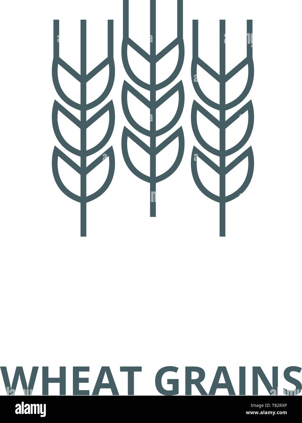 Wheat grains vector line icon, linear concept, outline sign, symbol ...