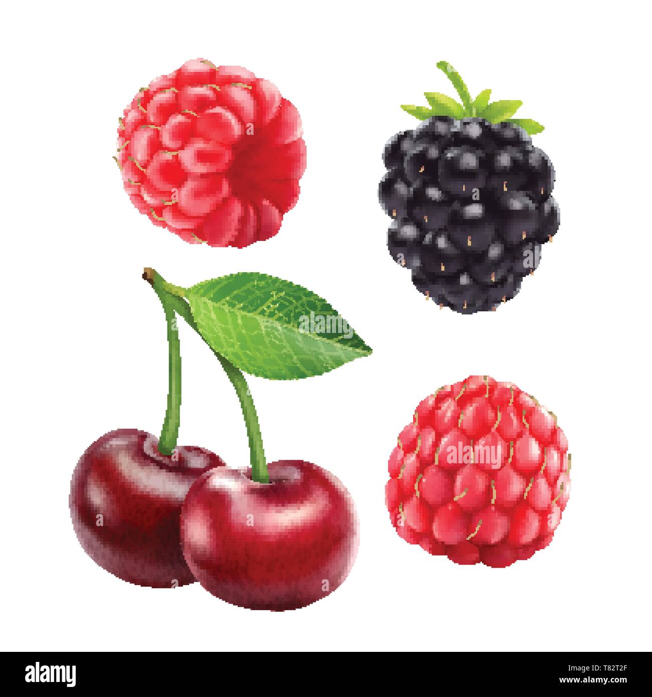 Blackberries cherry and raspberries. 3d vector icon set. Realistic ...