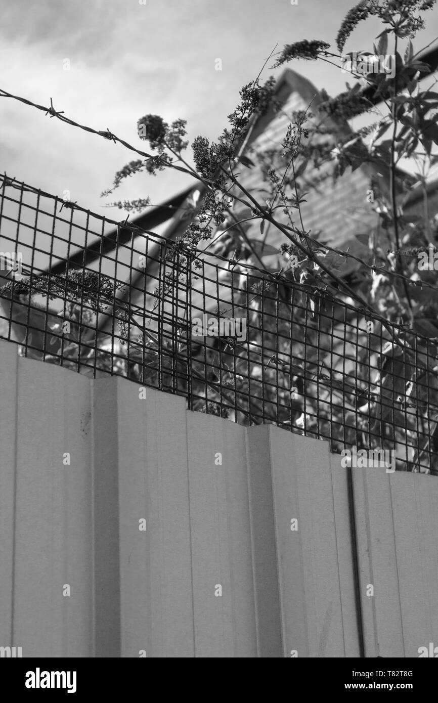 Overgrown plants building Black and White Stock Photos & Images - Alamy