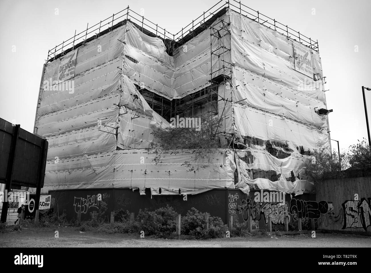 Overgrown plants building Black and White Stock Photos & Images - Alamy