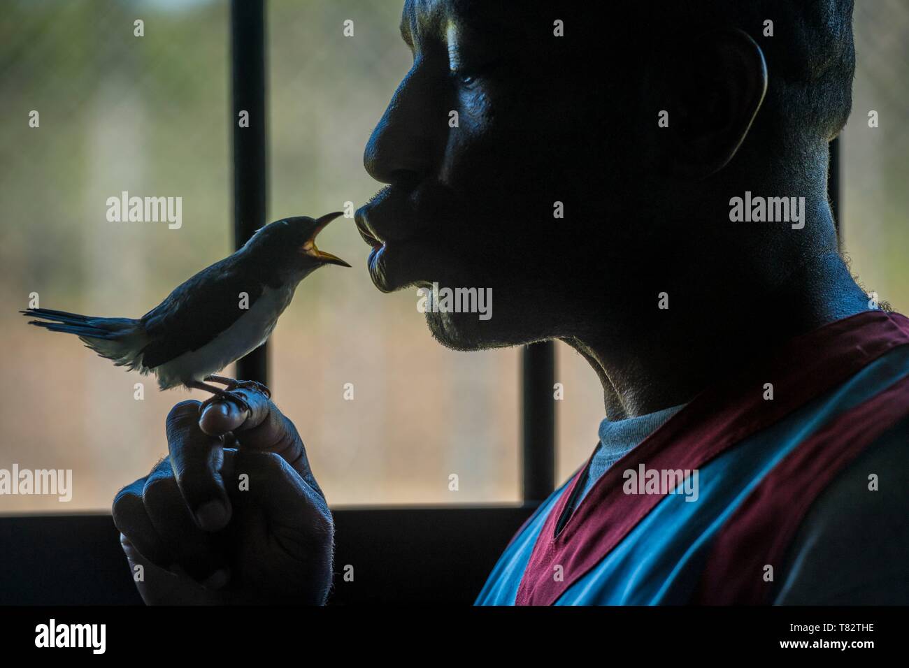 Papua New Guinea, Gulf of Papua, National Capital District, Port ...