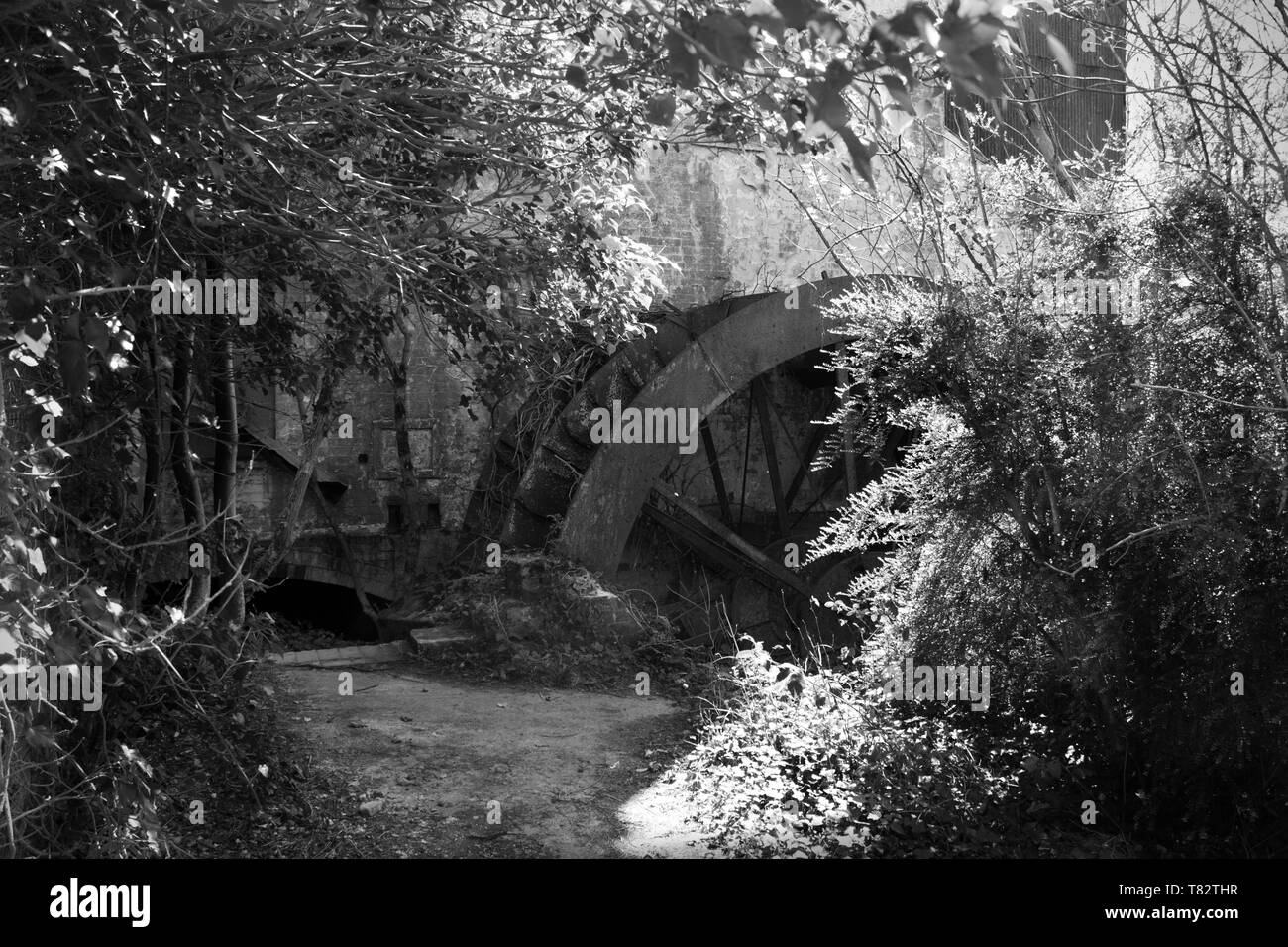 Vines building Black and White Stock Photos & Images - Alamy