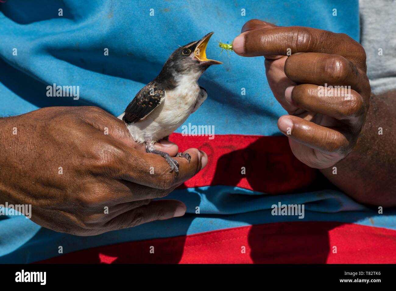 Papua New Guinea, Gulf of Papua, National Capital District, Port ...