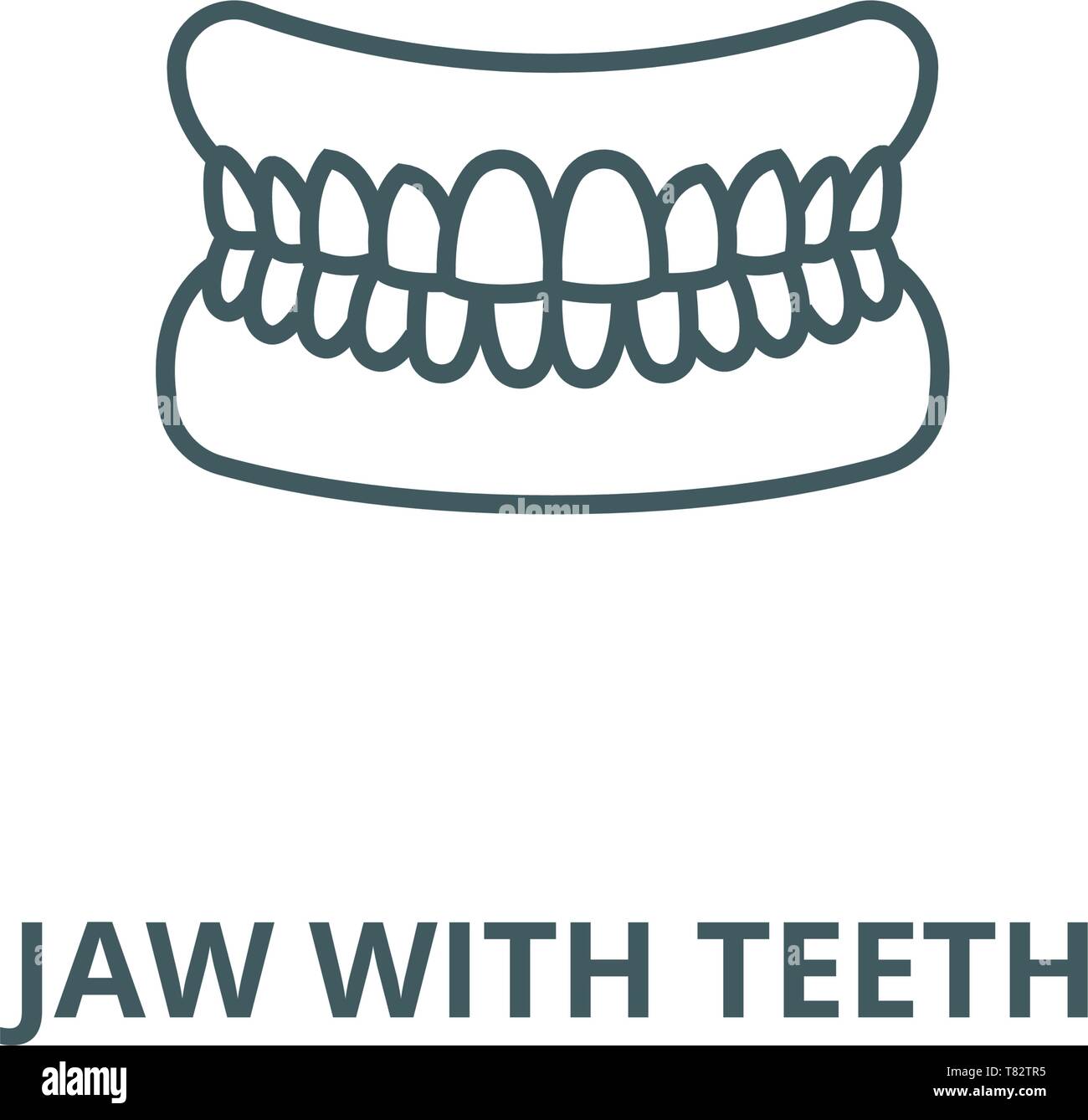 Jaw with teeth vector line icon, linear concept, outline sign, symbol ...