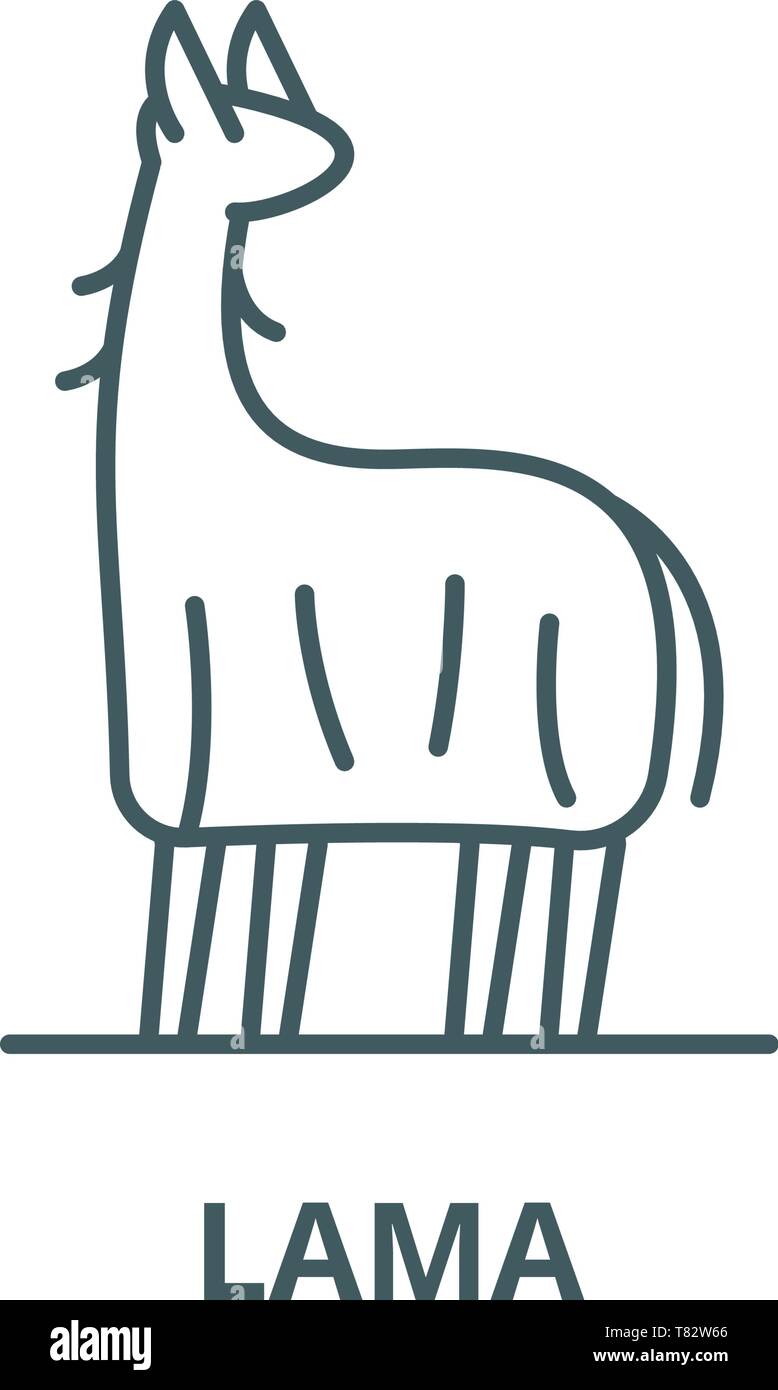 Lama vector line icon, linear concept, outline sign, symbol Stock ...