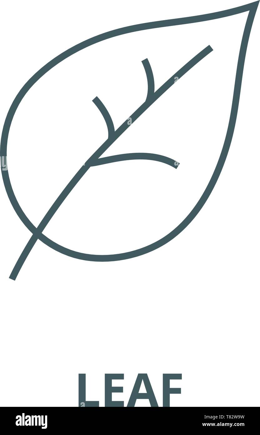 Leaf vector line icon, linear concept, outline sign, symbol Stock ...
