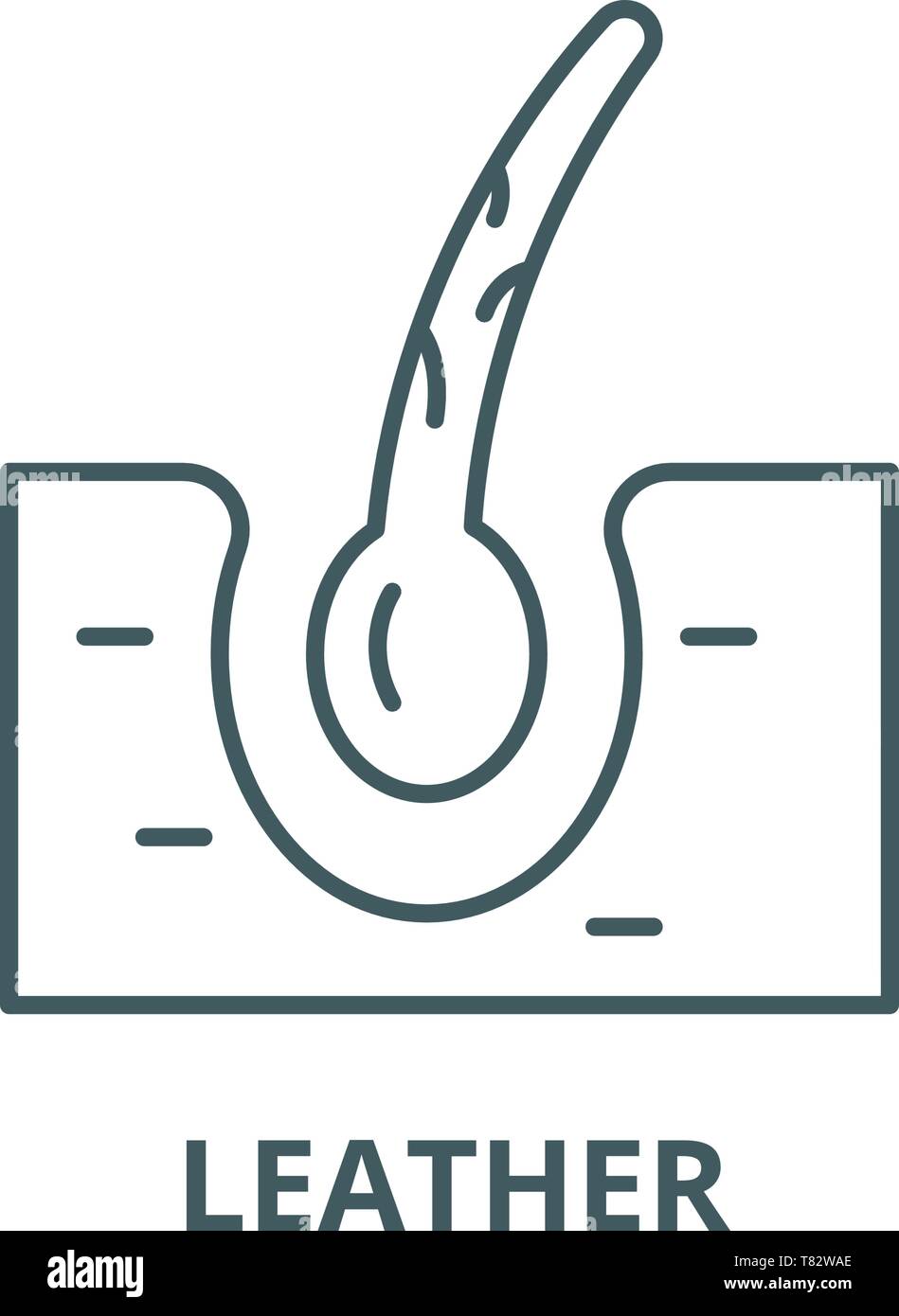 Leather vector line icon, linear concept, outline sign, symbol Stock ...