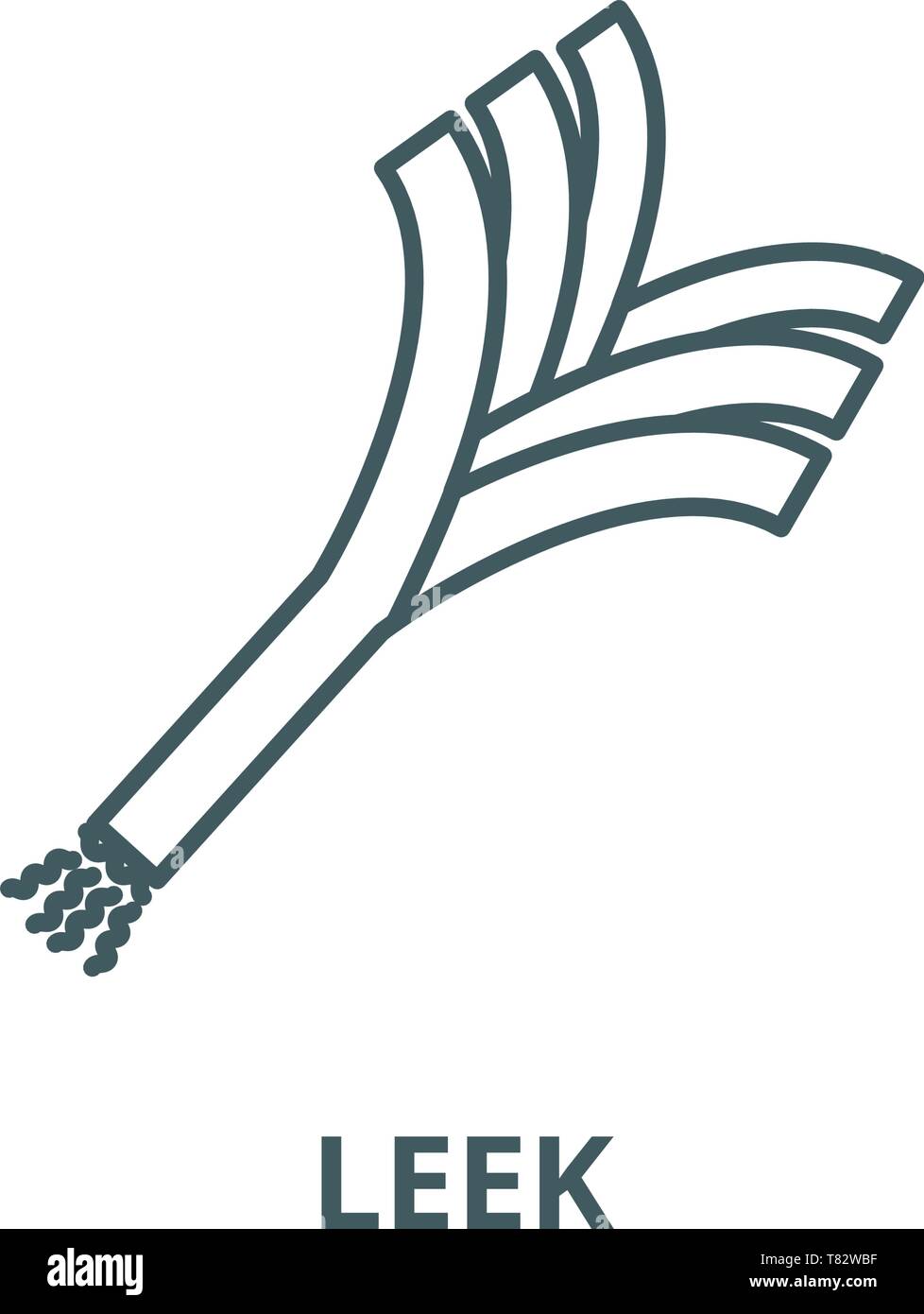 Leek vector line icon, linear concept, outline sign, symbol Stock ...
