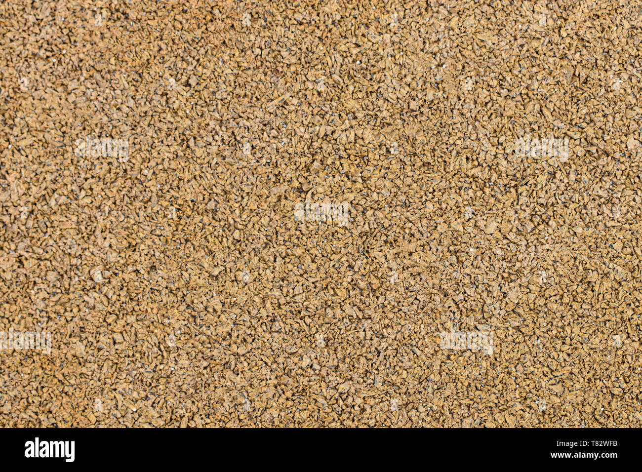 yellow background with spotlight. Asphalt texture background Stock ...