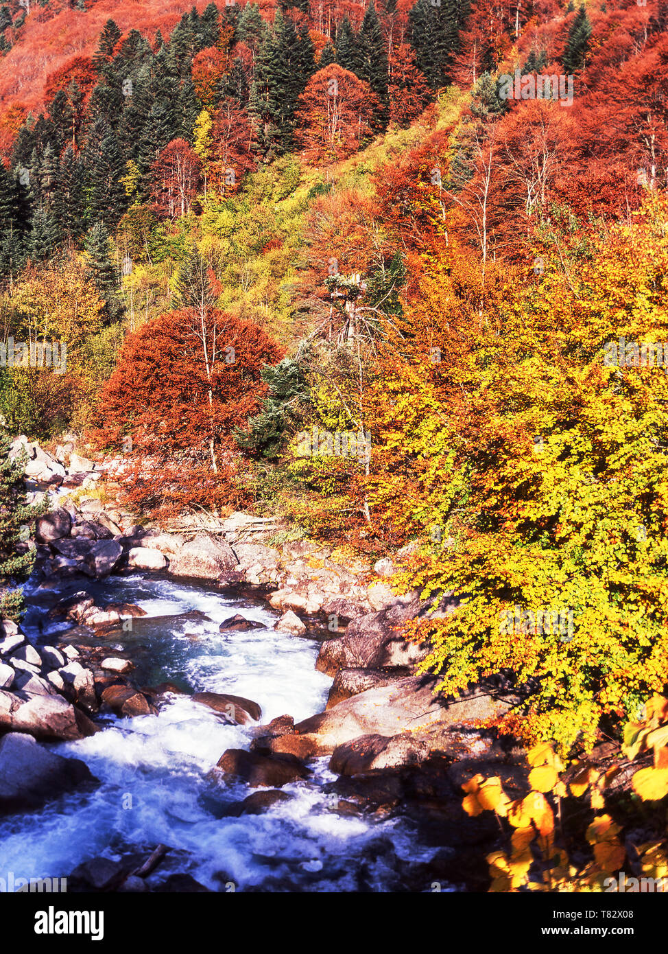 Valley de jeret hautes pyrenees hi-res stock photography and images - Alamy