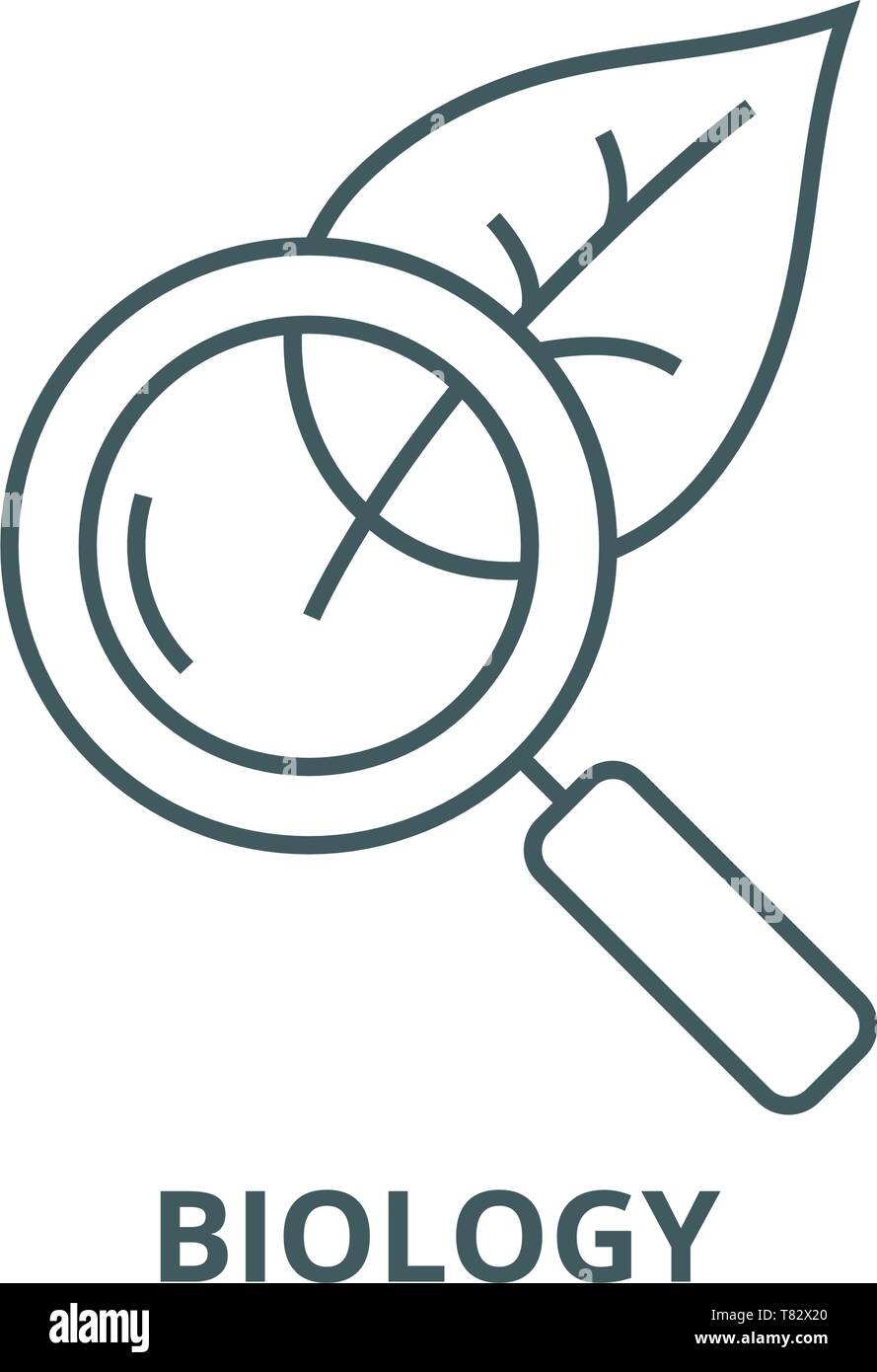 Magnifier glass with leaf,biology vector line icon, linear concept ...