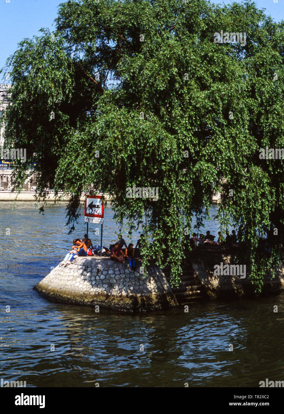 People sunbathing and relaxing in the shade in the center of the River Seine in Paris.France ...